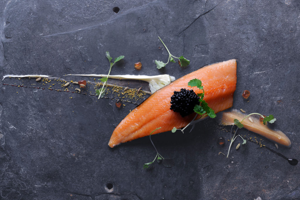 Snug Harbor Fish Company | Duxbury, Massachusetts | Home