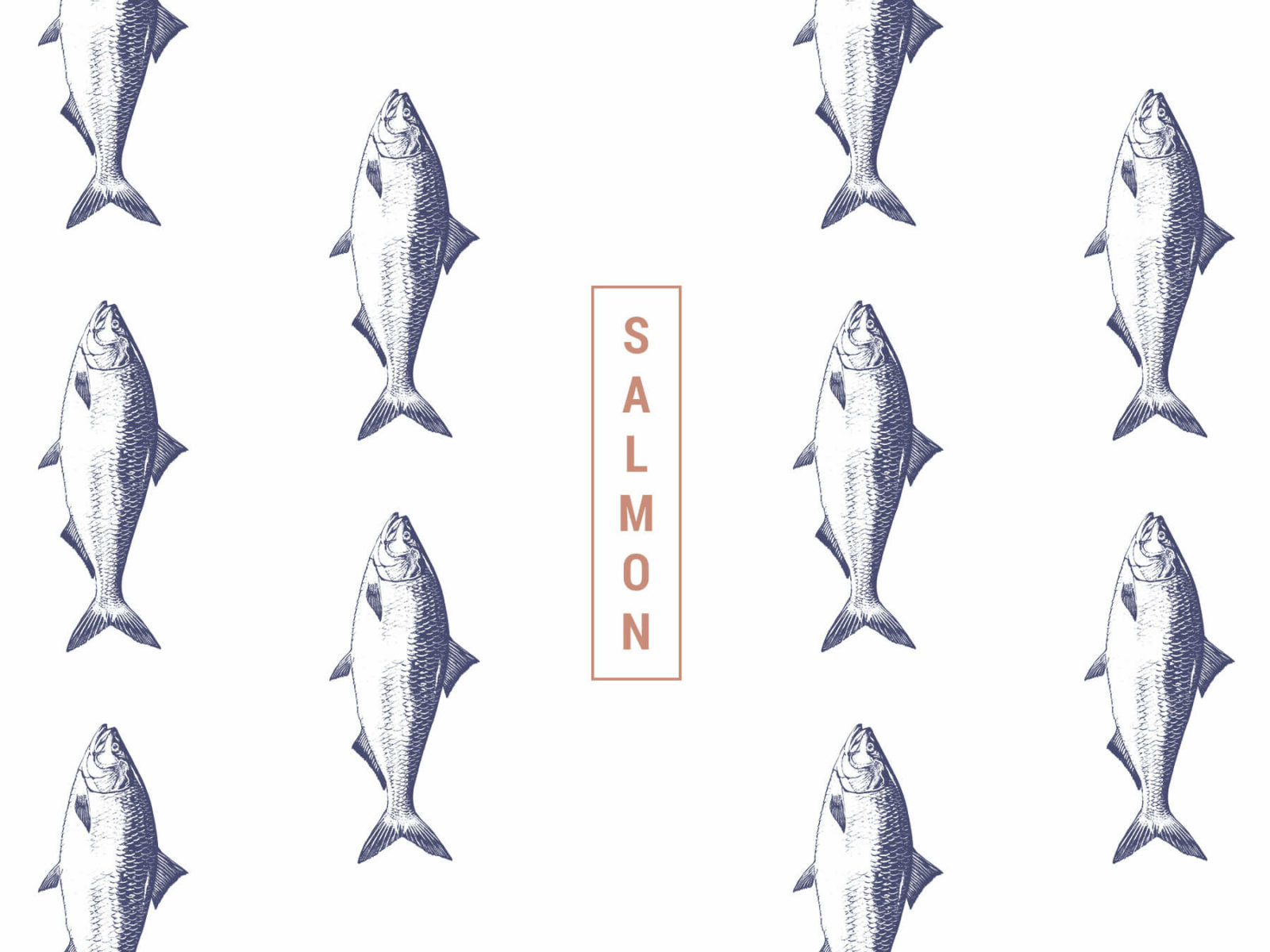 salmon-seafood | Snug Harbor Fish Company